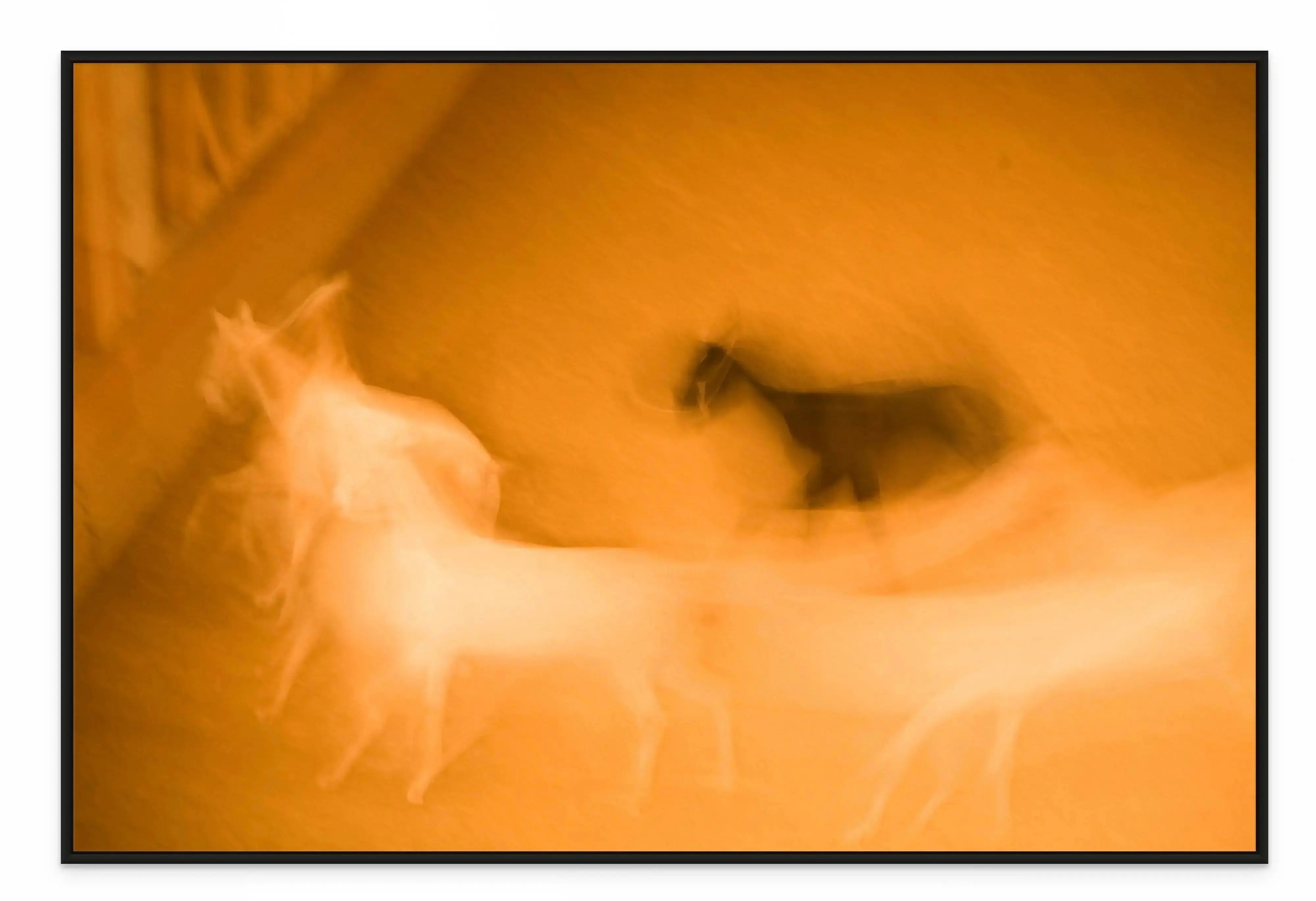 Energy III Canvas Print | Equestrian Arts Prints | Wall Art Online ...